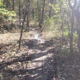 Sac River Trail, Missouri - 557 Reviews, Map | AllTrails