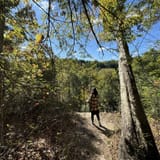 Gorge Overlook Loop via Buckeye Trail, Ohio - 4,015 Reviews, Map ...