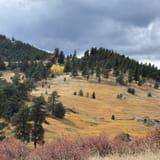 Walker Ranch Loop, Colorado - 5,372 Reviews, Map | AllTrails