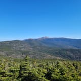 Mount Jackson Trail, New Hampshire - 2,293 Reviews, Map | AllTrails