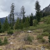 String Lake Trail, Wyoming - 2,604 Reviews, Map | AllTrails