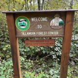 Wilson River Trail, Oregon - 822 Reviews, Map | AllTrails