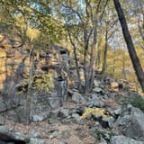 Reeves Brook Loop Trail, New York - 5,230 Reviews, Map | AllTrails