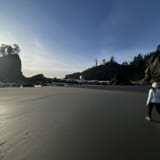 Second Beach, Washington - 2,138 Reviews, Map | AllTrails