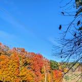 Parnell Tower Trail, Wisconsin - 956 Reviews, Map | AllTrails