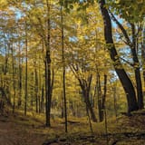Parnell Tower Trail, Wisconsin - 956 Reviews, Map | AllTrails