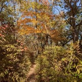 Parnell Tower Trail, Wisconsin - 956 Reviews, Map | AllTrails