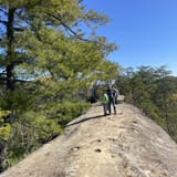 Sky Bridge Trail, Kentucky - 2,954 Reviews, Map | AllTrails