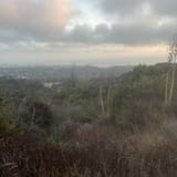 Inspiration Point Loop, California - 5,361 Reviews, Map | AllTrails