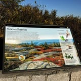 Cadillac Summit Loop Trail, Maine - 2,916 Reviews, Map | AllTrails