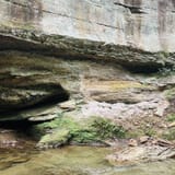 Piney Creek Ravine Nature Reserve Trail, Illinois - 448 Reviews, Map ...