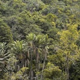 La Vallee de Ferney Yellow Route, Grand Port, Mauritius - 18 Reviews ...