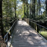 Greenfield Lake Park Trail, North Carolina - 719 Reviews, Map | AllTrails