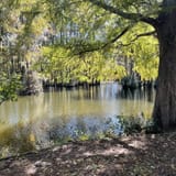 Greenfield Lake Park Trail, North Carolina - 719 Reviews, Map | AllTrails