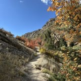 Lower Mill B North Fork Trail, Utah - 2,132 Reviews, Map | AllTrails