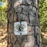 Coon Ridge Trail, Oklahoma - 357 Reviews, Map | AllTrails