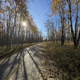 Glenmore Reservoir Loop, Alberta, Canada - 3,068 Reviews, Map | AllTrails