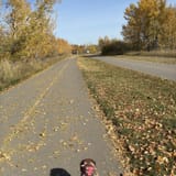 Glenmore Reservoir Loop, Alberta, Canada - 3,068 Reviews, Map | AllTrails