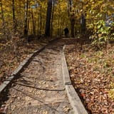 Mer Bleue Bog Trail, Ontario, Canada - 486 Reviews, Map | AllTrails