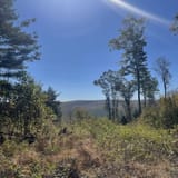 Sunset Rocks Trail, Pennsylvania - 1,035 Reviews, Map | AllTrails