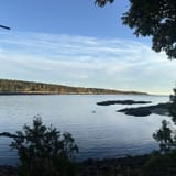 Devil’s Back Trail, Maine - 359 Reviews, Map | AllTrails