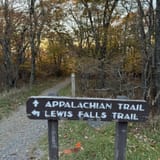 Lewis Spring Falls Trail, Virginia - 1,665 Reviews, Map | AllTrails