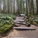 Heybrook Lookout Trail, Washington - 5,737 Reviews, Map | AllTrails
