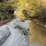 Gorge Trail Loop, New York - 622 Reviews, Map | AllTrails