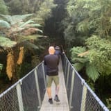 Cossey Massey Loop Track, Auckland, New Zealand - 889 Reviews, Map ...