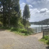 Cossey Massey Loop Track, Auckland, New Zealand - 889 Reviews, Map ...
