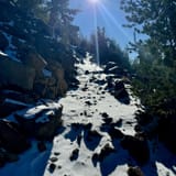 Mount Scott Trail, Oregon - 1,350 Reviews, Map | AllTrails