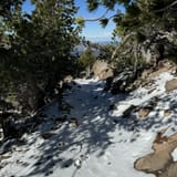 Mount Scott Trail, Oregon - 1,350 Reviews, Map | AllTrails