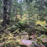 Watson Falls, Oregon - 1,303 Reviews, Map | AllTrails