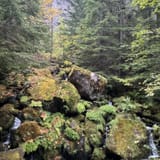 Watson Falls, Oregon - 1,303 Reviews, Map | AllTrails