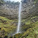 Watson Falls, Oregon - 1,303 Reviews, Map | AllTrails