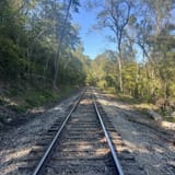 Red Bluff, Mississippi - 446 Reviews, Map | AllTrails