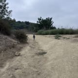 Fryman Canyon Trail, California - 6,650 Reviews, Map | AllTrails