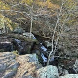 Lewis Spring Falls Trail, Virginia - 1,665 Reviews, Map | AllTrails
