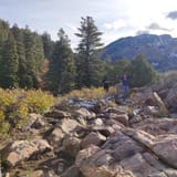 Lower Mill B North Fork Trail, Utah - 2,132 Reviews, Map | AllTrails