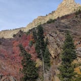 Lower Mill B North Fork Trail, Utah - 2,132 Reviews, Map | AllTrails