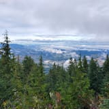 Mount Walker, Washington - 2,233 Reviews, Map | AllTrails