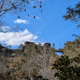 Window Cliffs Trail, Tennessee - 1,597 Reviews, Map | AllTrails