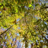 Okehocking Preserve Loop, Pennsylvania - 1,293 Reviews, Map | AllTrails