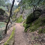 Moses Spring and Rim Trail Loop, California - 3,052 Reviews, Map ...