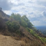 Altadena Crest Trail, California - 662 Reviews, Map | AllTrails