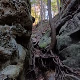 Gorge Overlook Loop via Buckeye Trail, Ohio - 4,015 Reviews, Map ...