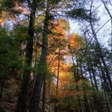 Gorge Overlook Loop via Buckeye Trail, Ohio - 4,015 Reviews, Map ...