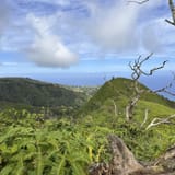 Waihe'e Ridge Trail, Maui, Hawaii - 9,890 Reviews, Map | AllTrails