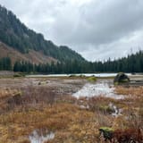 Heather Lake Trail, Washington - 7,444 Reviews, Map | AllTrails