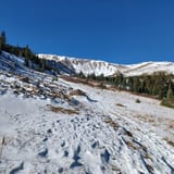 Butler Gulch Trail, Colorado - 3,266 Reviews, Map | AllTrails